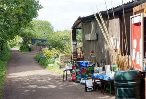 Trading Hut – P A C A